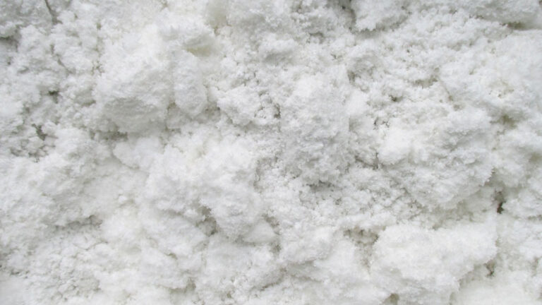 Pulp (cellulose) - Biomag Trade